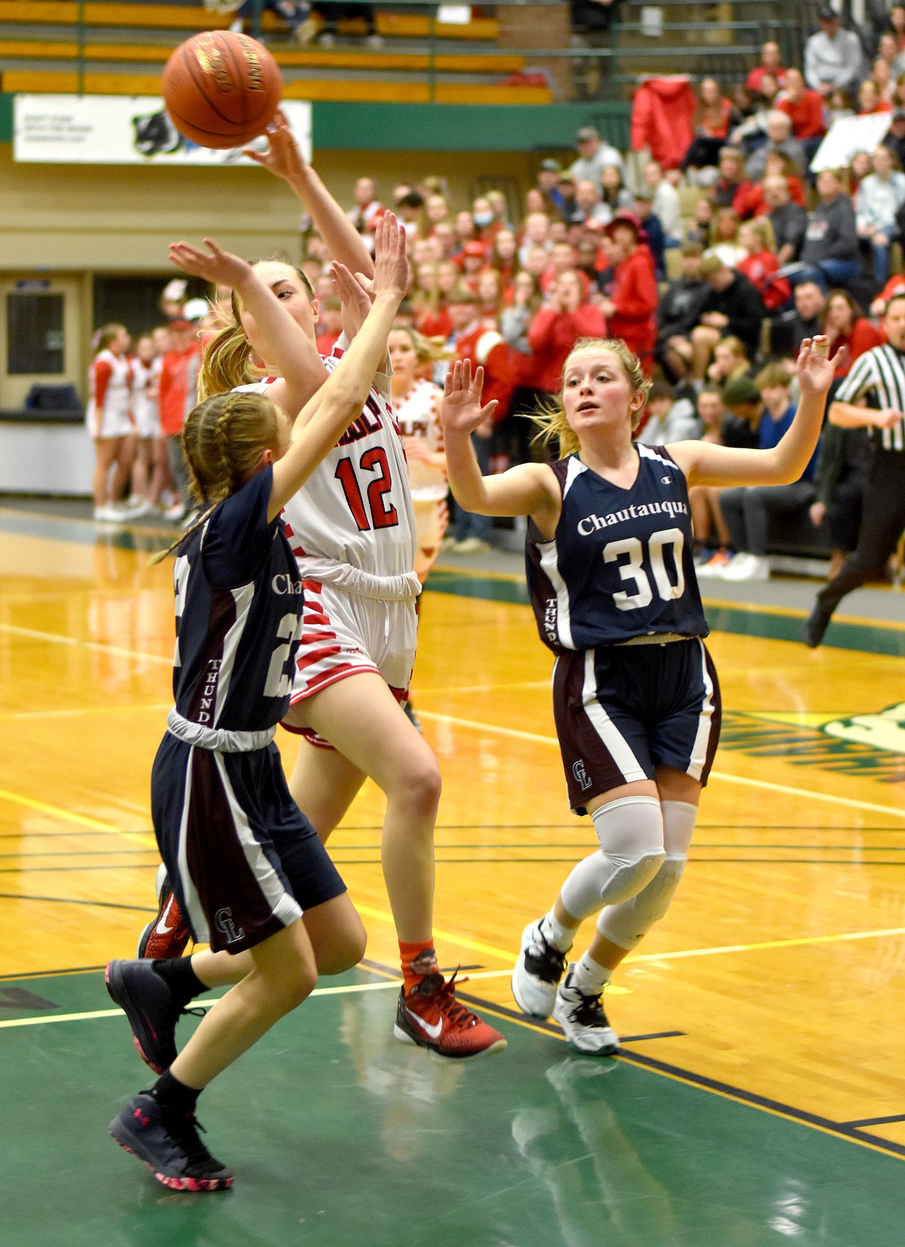 Morrison-Led Cardinals Survive T’Birds | News, Sports, Jobs - Post Journal